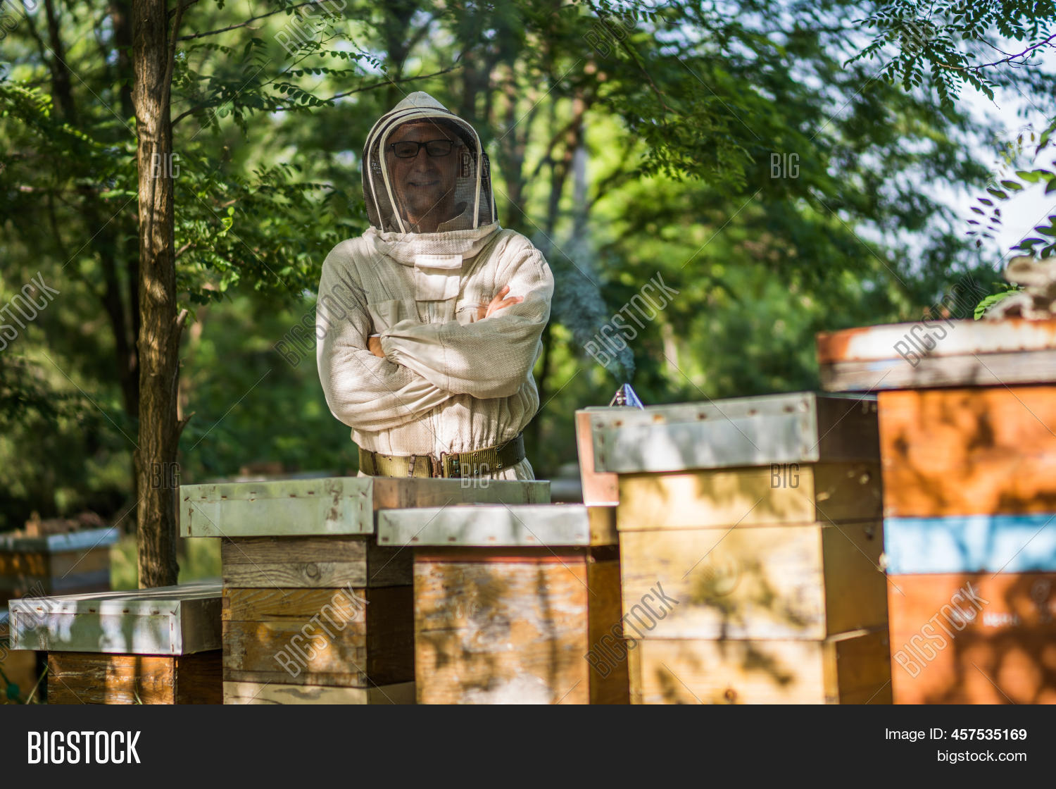 Beekeeper Standing By Image & Photo (Free Trial) | Bigstock