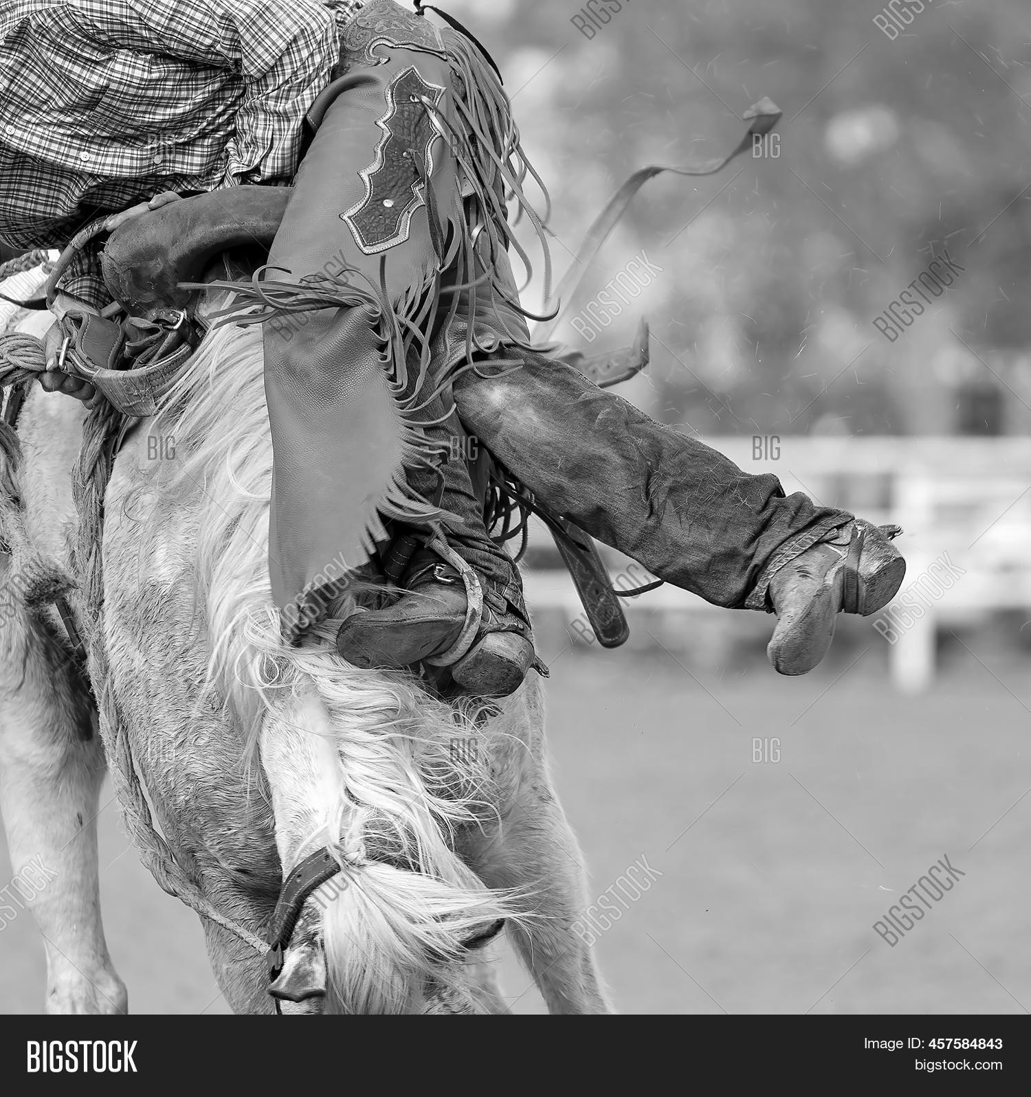 Cowboy Riding Bucking Image & Photo (Free Trial) | Bigstock