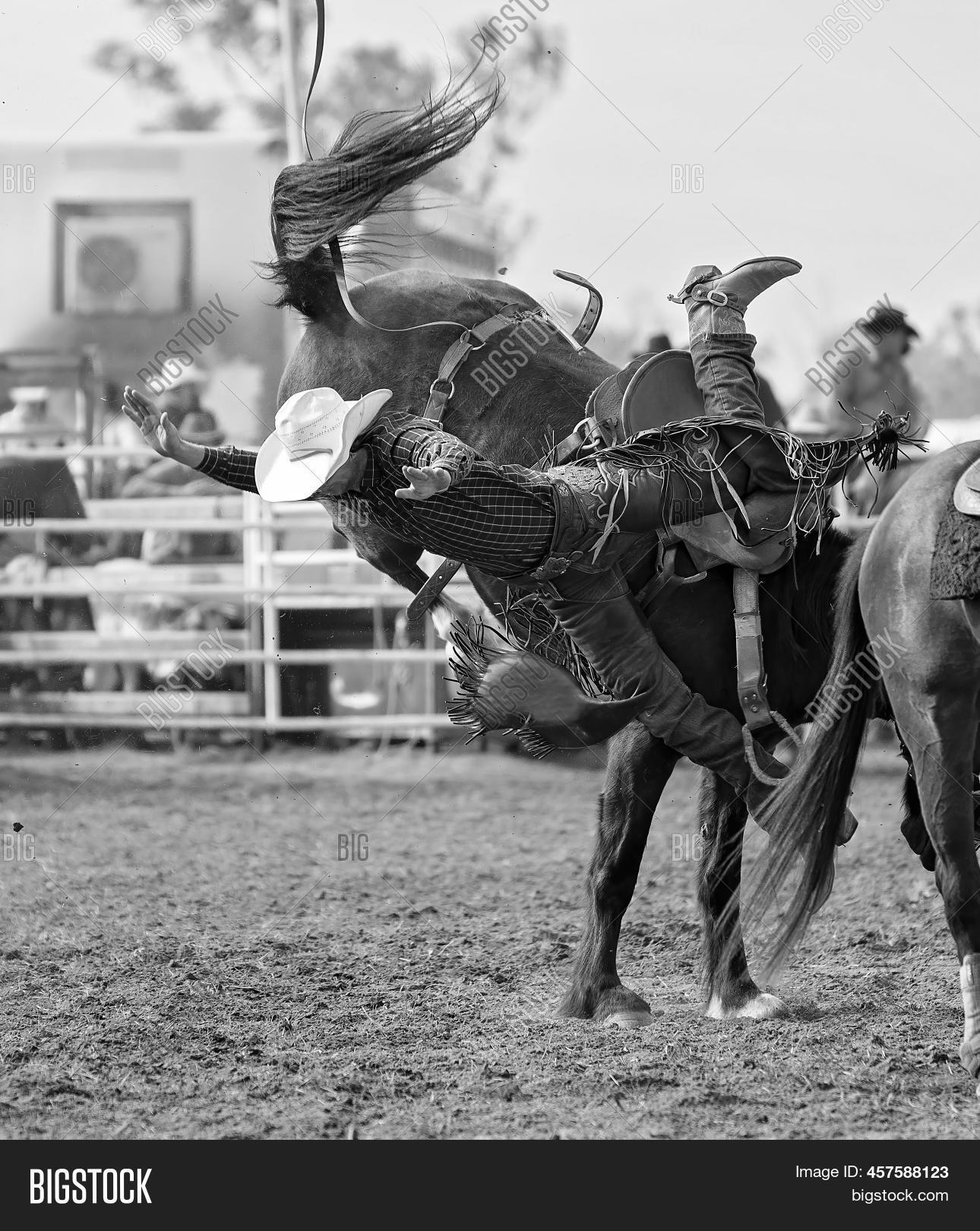 Cowboy Falling Off Image & Photo (Free Trial) | Bigstock