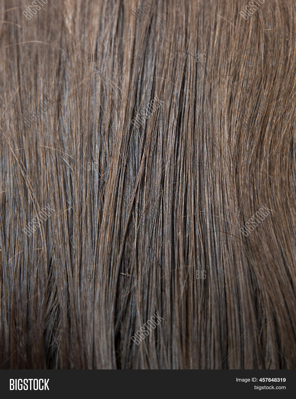 Background Hairline. Image & Photo (Free Trial) | Bigstock