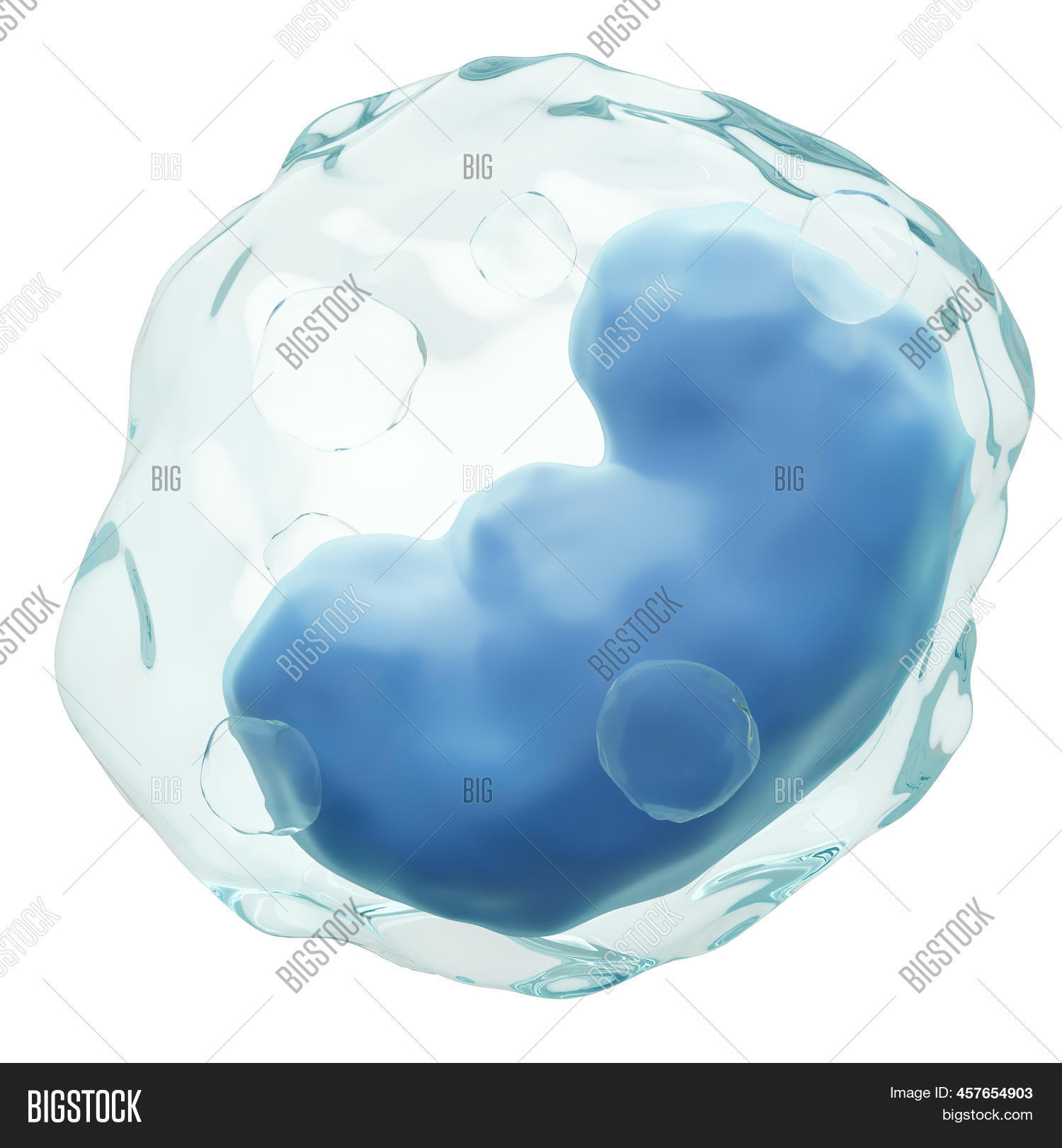 Monocyte . White Blood Image & Photo (Free Trial) | Bigstock