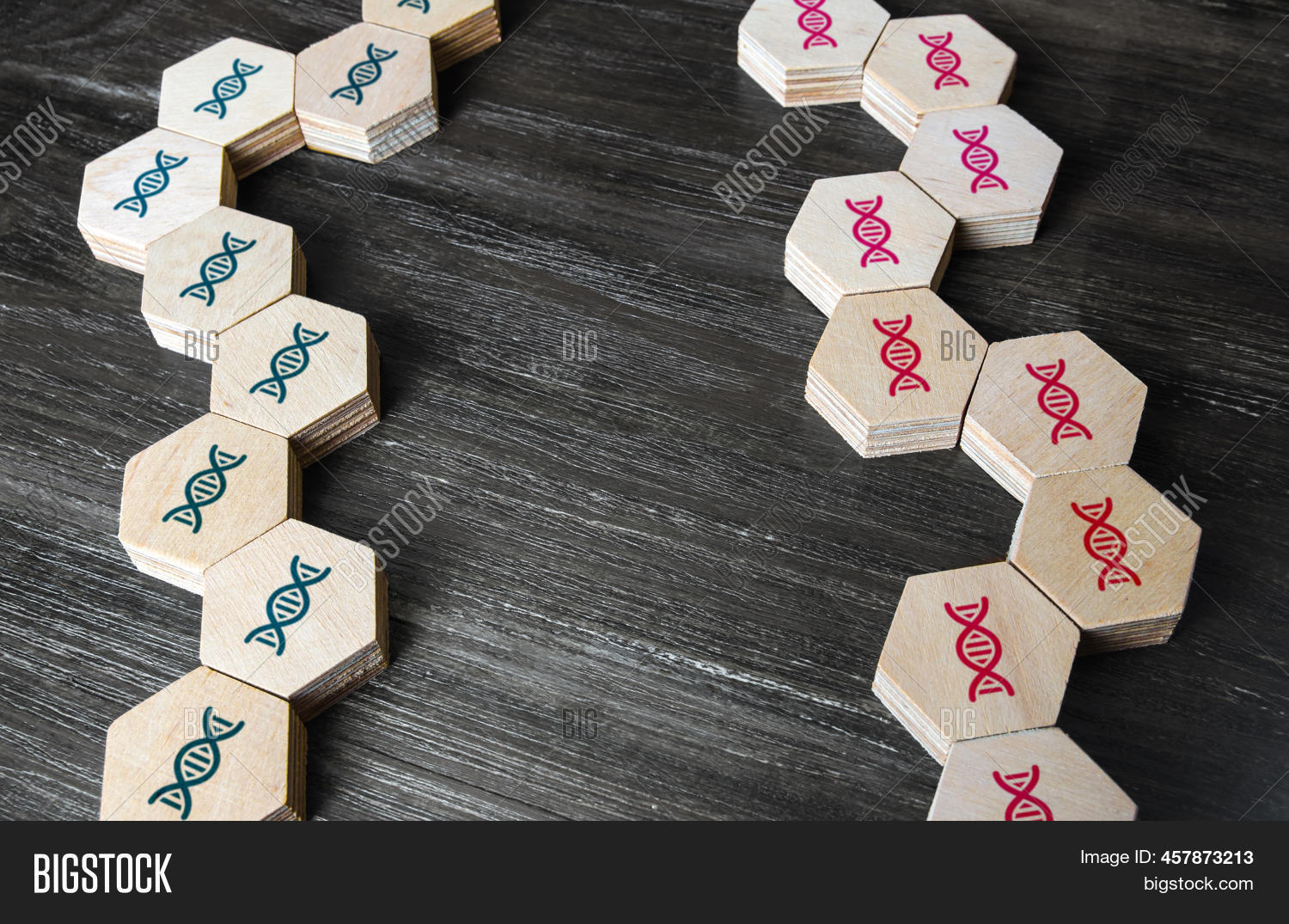 Genetic Lines Father Image & Photo (Free Trial) | Bigstock