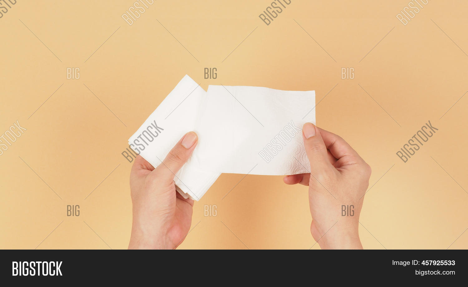 Hand Holding Small Image & Photo (Free Trial) | Bigstock