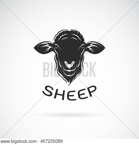Vector Sheep Head Vector & Photo (Free Trial) | Bigstock