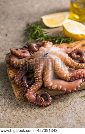 Octopus Cooked Chopped Image & Photo (Free Trial) | Bigstock