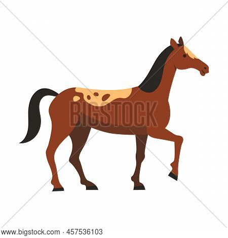 American Mustangs Vector & Photo (Free Trial) | Bigstock