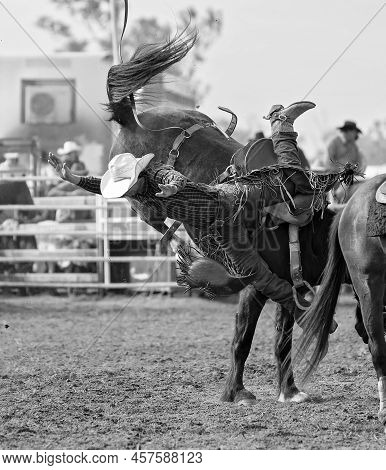 Cowboy Falling Off Image & Photo (Free Trial) | Bigstock