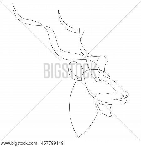 Greater Kudu Head Vector & Photo (Free Trial) | Bigstock