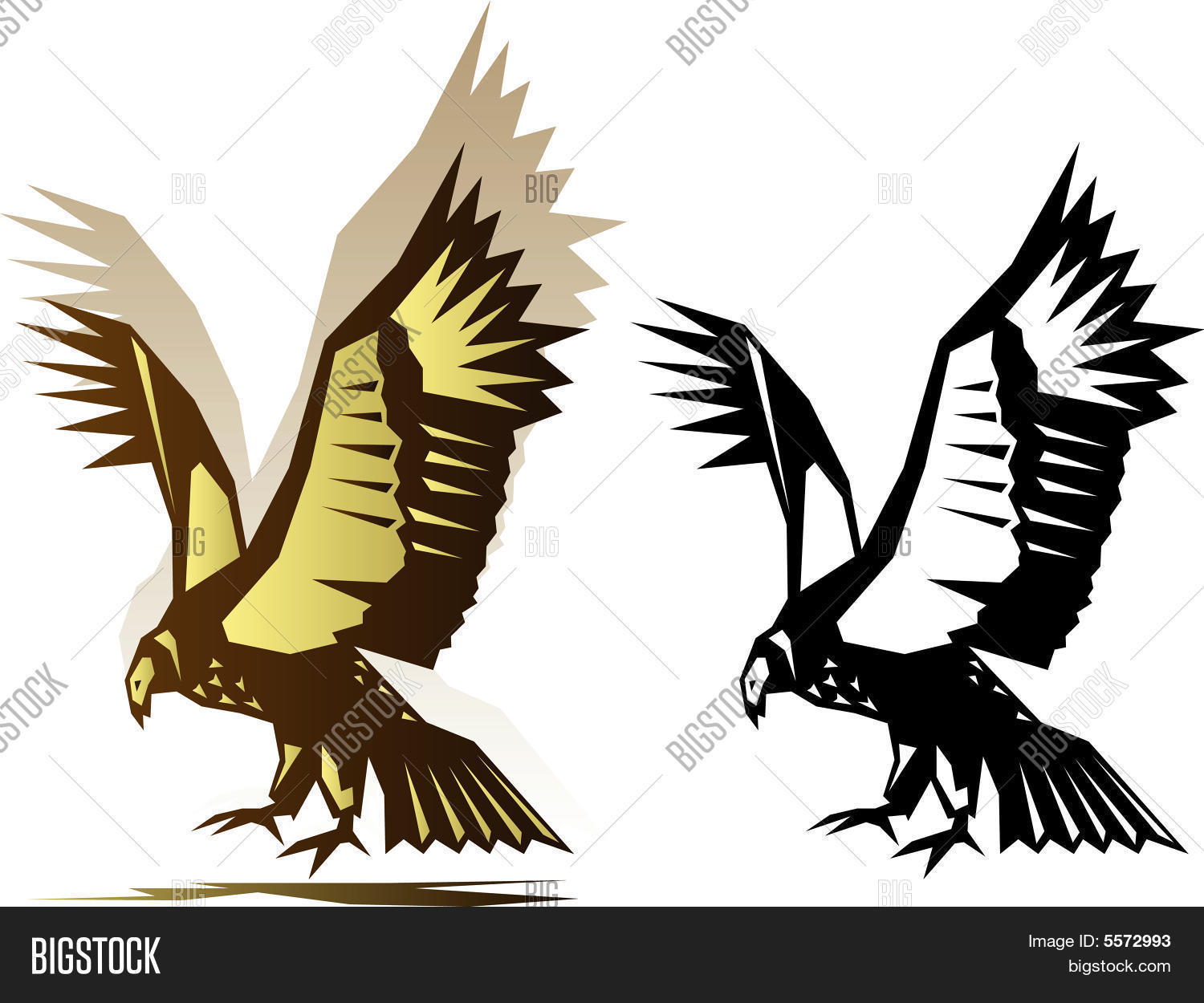 Graphic Condor Vector & Photo (Free Trial) | Bigstock