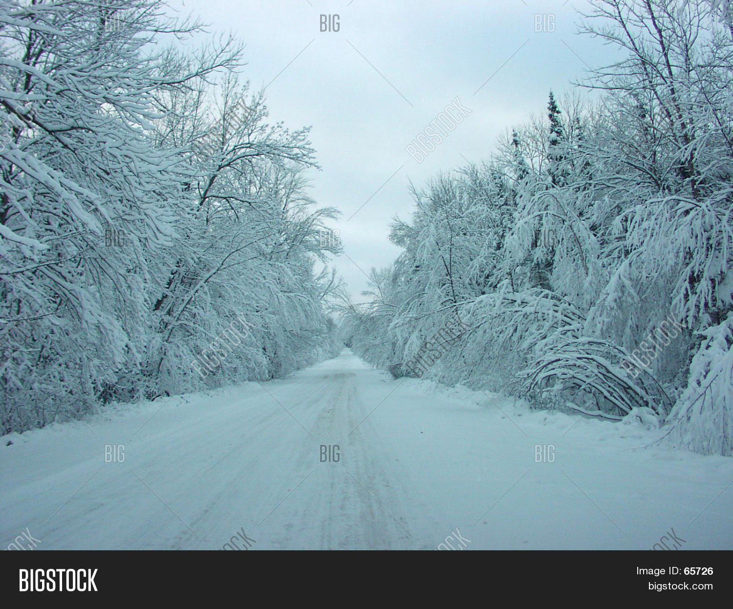 Snowy Road Image & Photo (Free Trial) | Bigstock