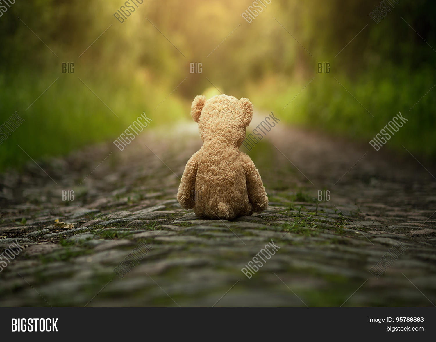 Lonely Teddy Bear On Image & Photo (Free Trial) | Bigstock