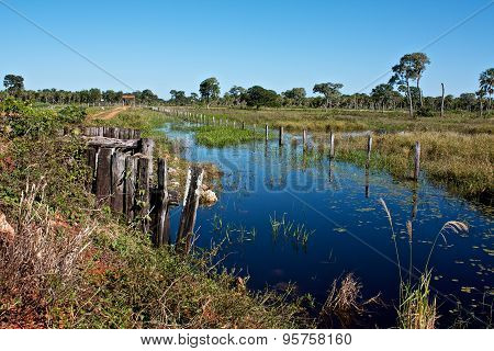 Swamp Pantanal Image & Photo (Free Trial) | Bigstock