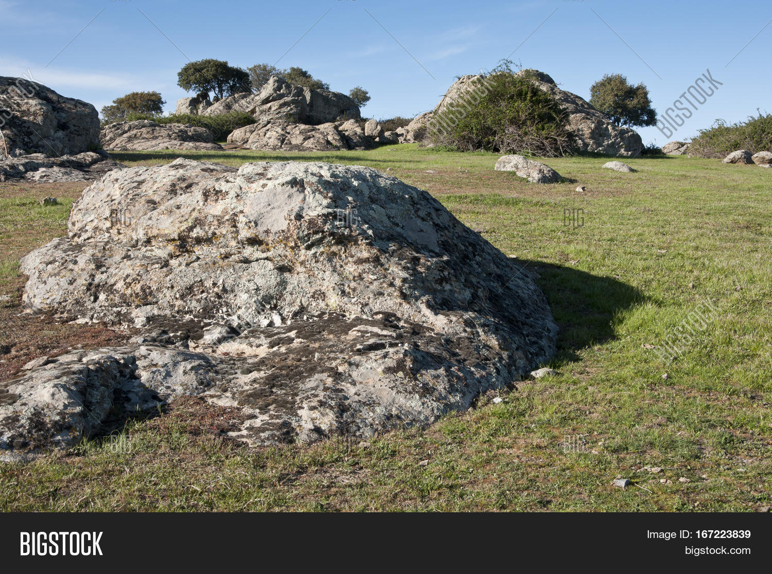 Commonages Pastures Image & Photo (Free Trial) | Bigstock