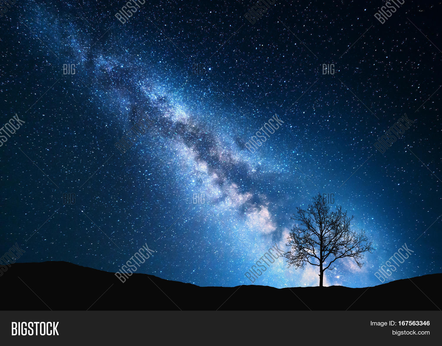 Milky Way Tree On Image & Photo (Free Trial) | Bigstock