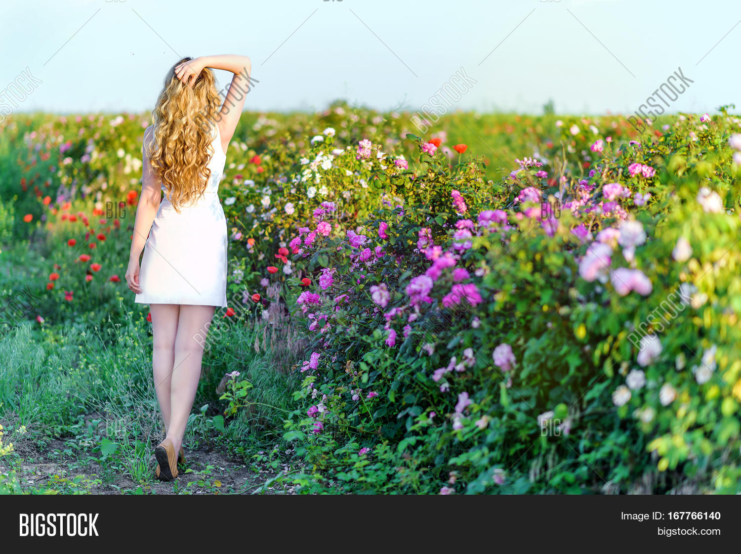 Girl Dancing Field Image & Photo (Free Trial) | Bigstock