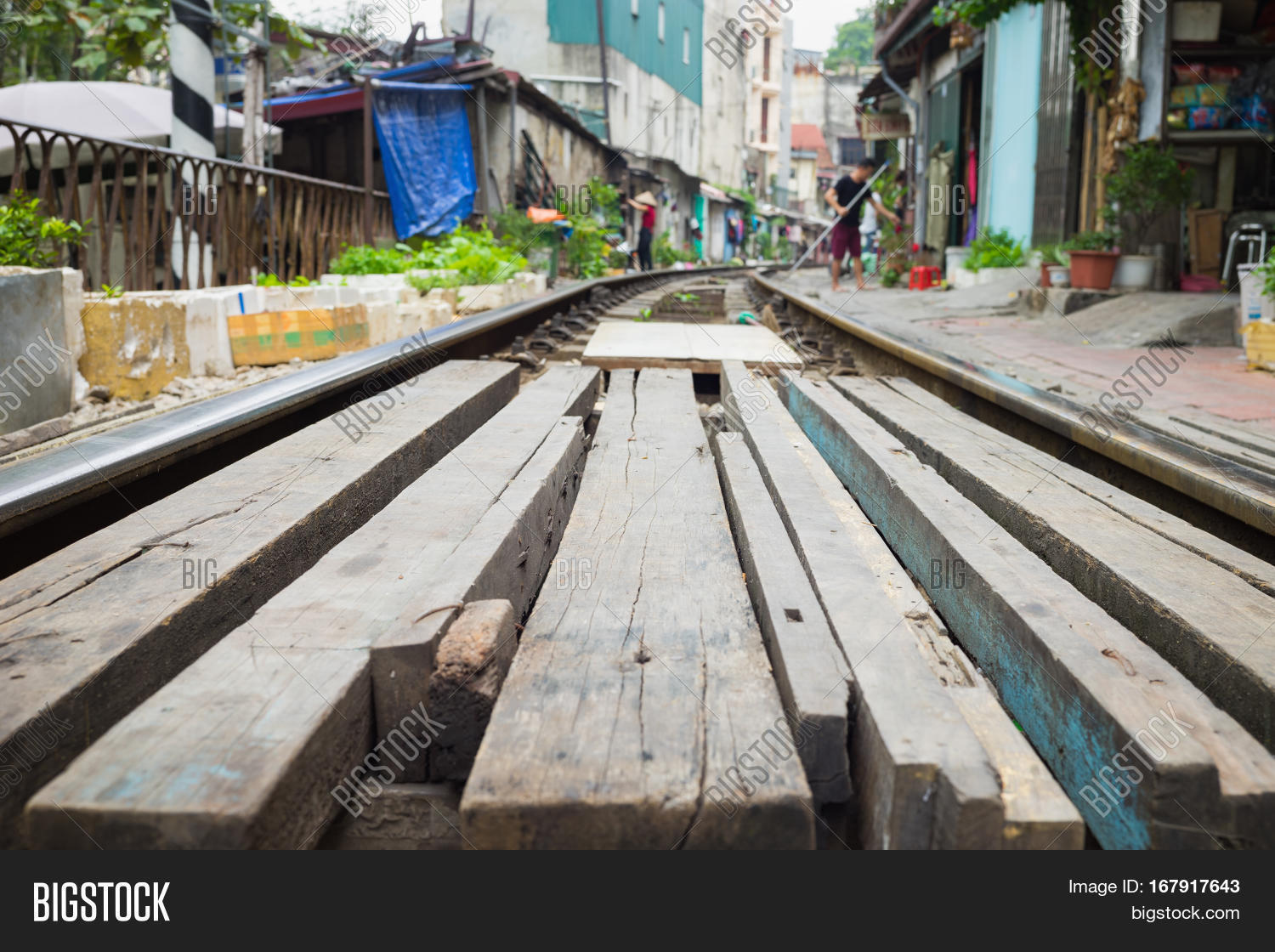 Wooden Path Crossing Image & Photo (Free Trial) | Bigstock