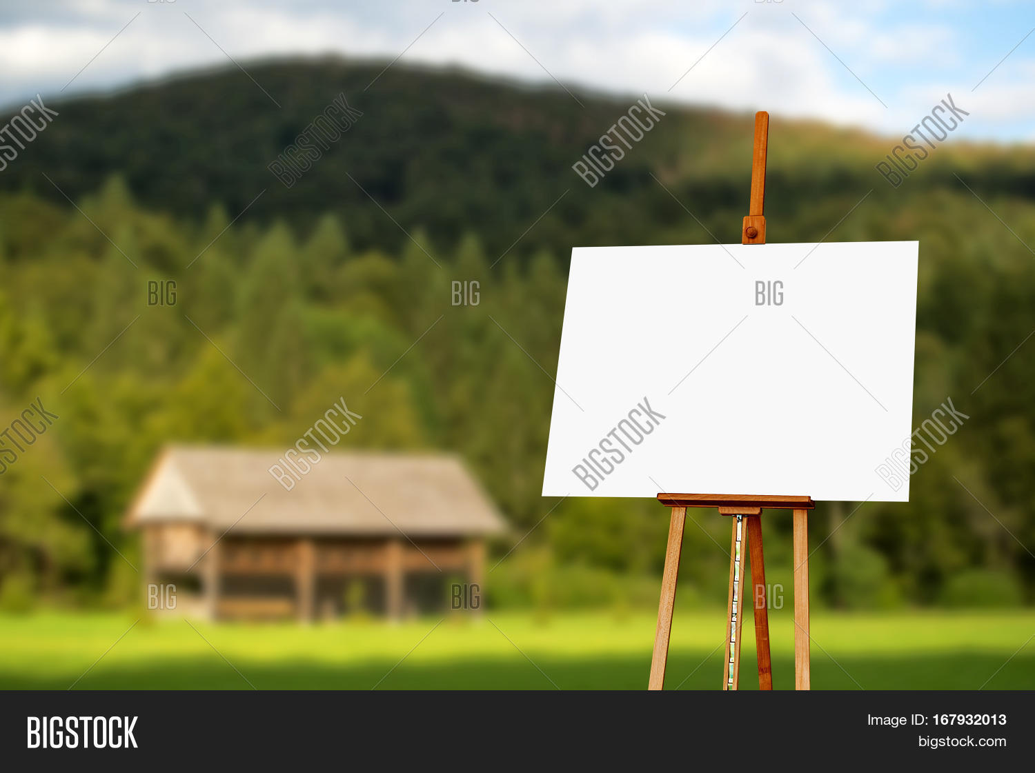 Blank Painter Artist Image & Photo (Free Trial) | Bigstock
