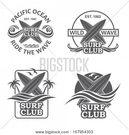 Collection Surfing Vector & Photo (Free Trial) | Bigstock