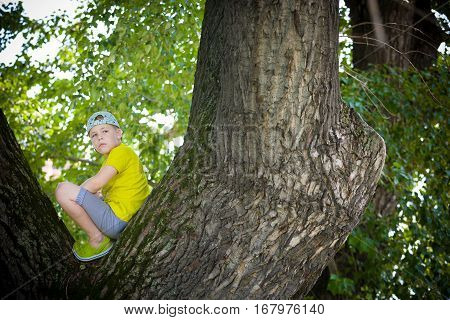 Portrait Cute Kid Boy Image & Photo (Free Trial) | Bigstock