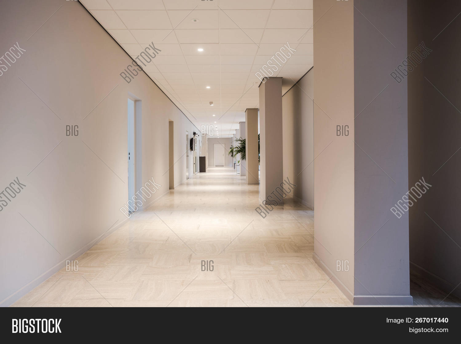 Long Office Hallway Image & Photo (Free Trial) | Bigstock