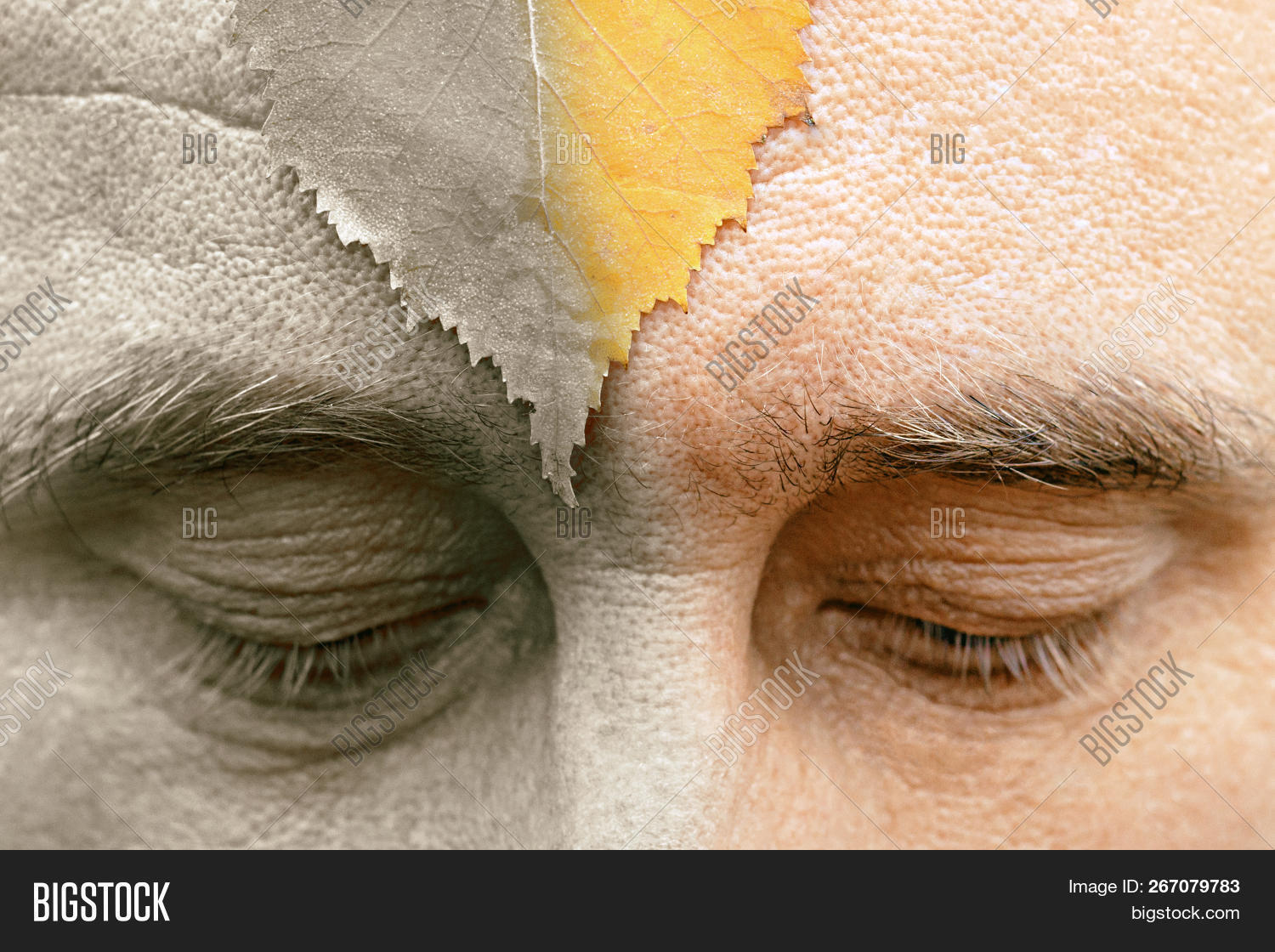 Eyes Man Looking Down Image & Photo (Free Trial) | Bigstock