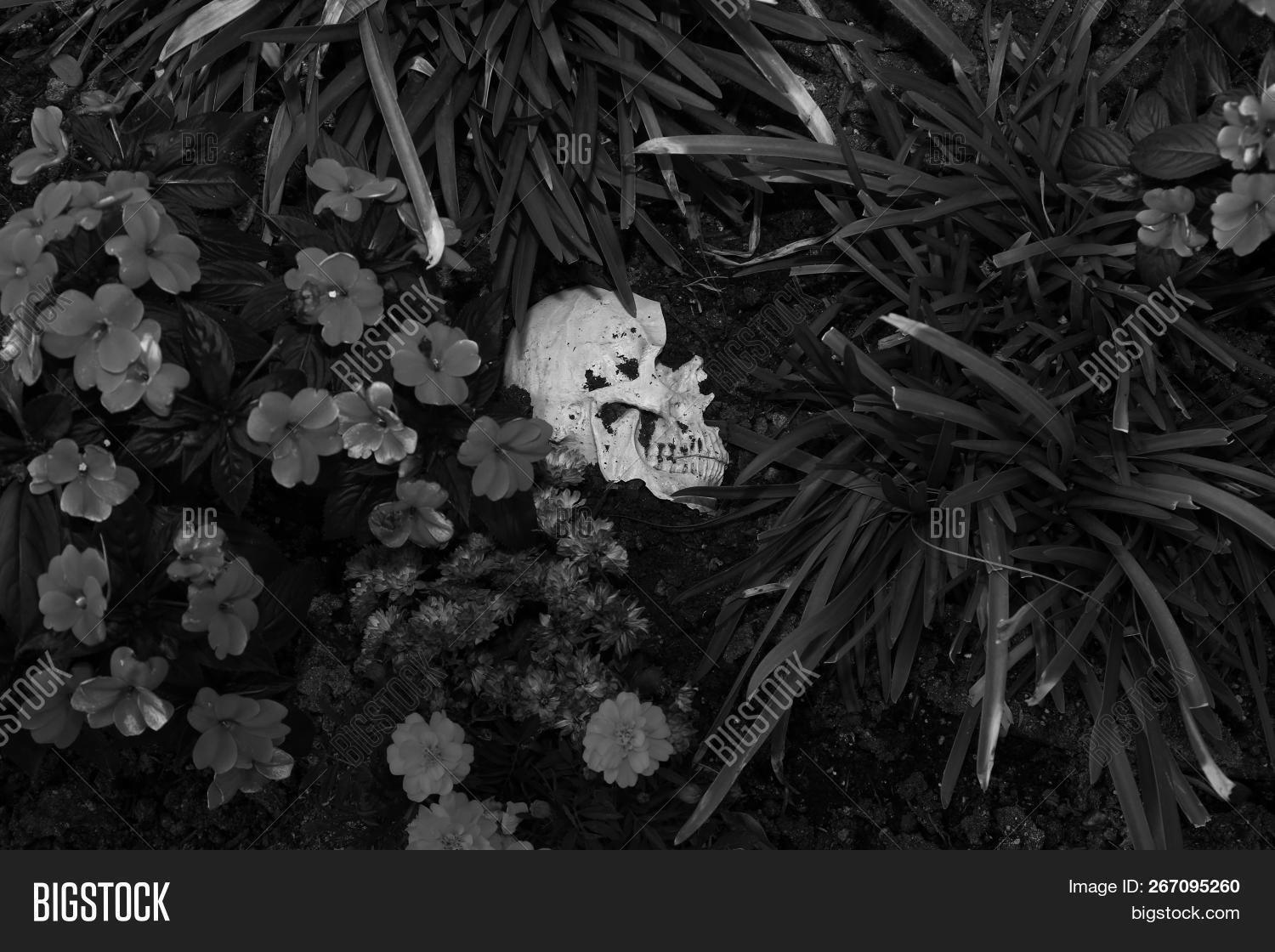 Crime Scene. Human Image & Photo (Free Trial) | Bigstock