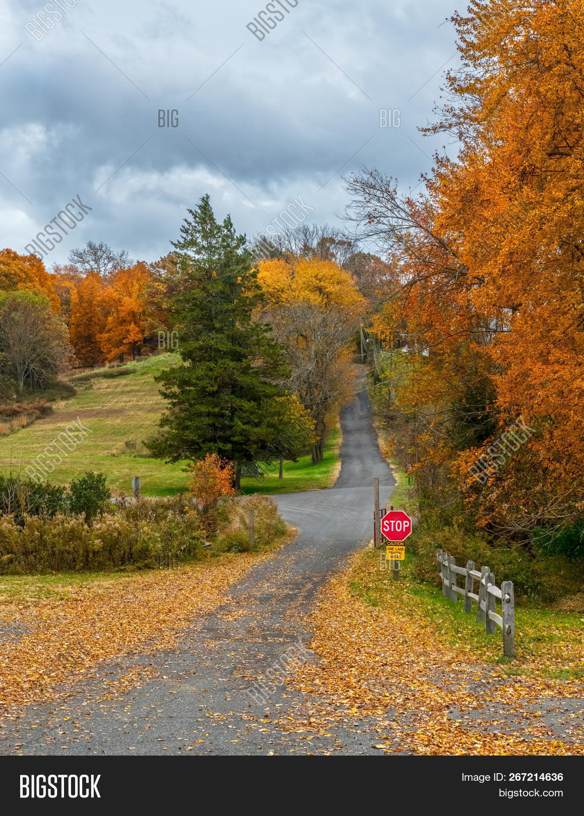 Scenic View Big Brook Image & Photo (Free Trial) | Bigstock