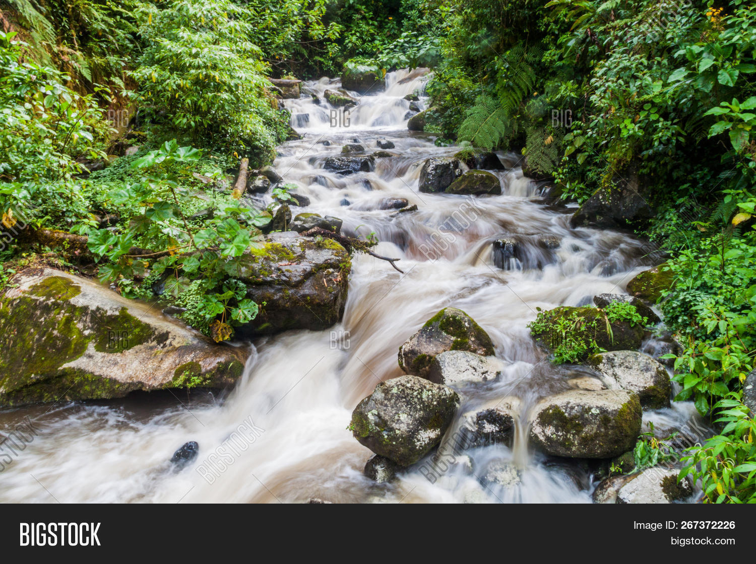 Rio Caldera River Image & Photo (Free Trial) | Bigstock