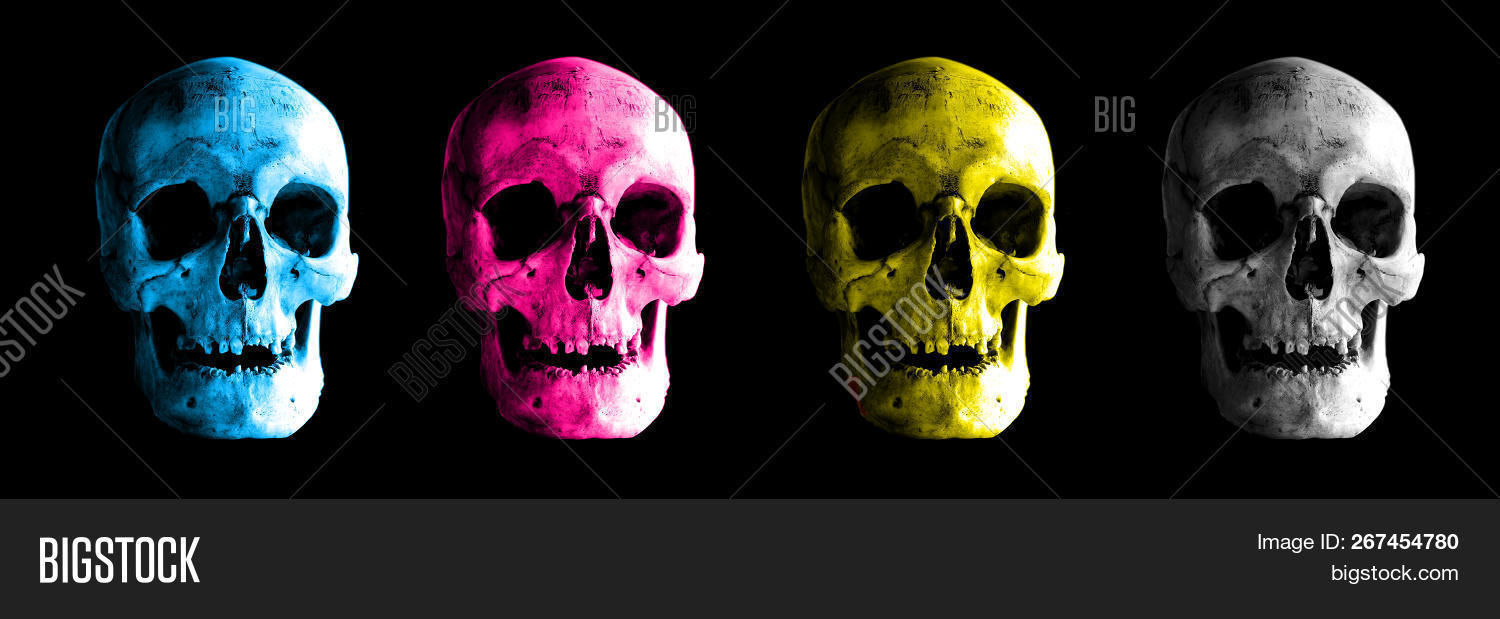 Four Human Skulls Form Image & Photo (Free Trial) | Bigstock
