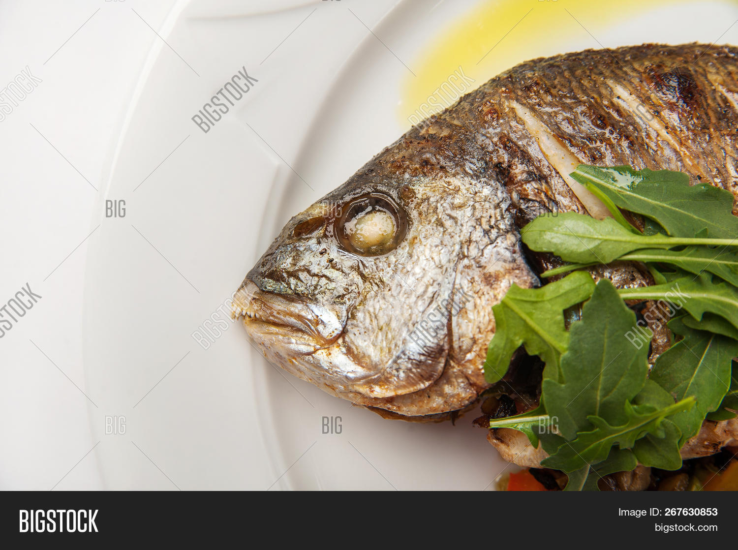 Dorada Fish Head Close Image & Photo (Free Trial) | Bigstock