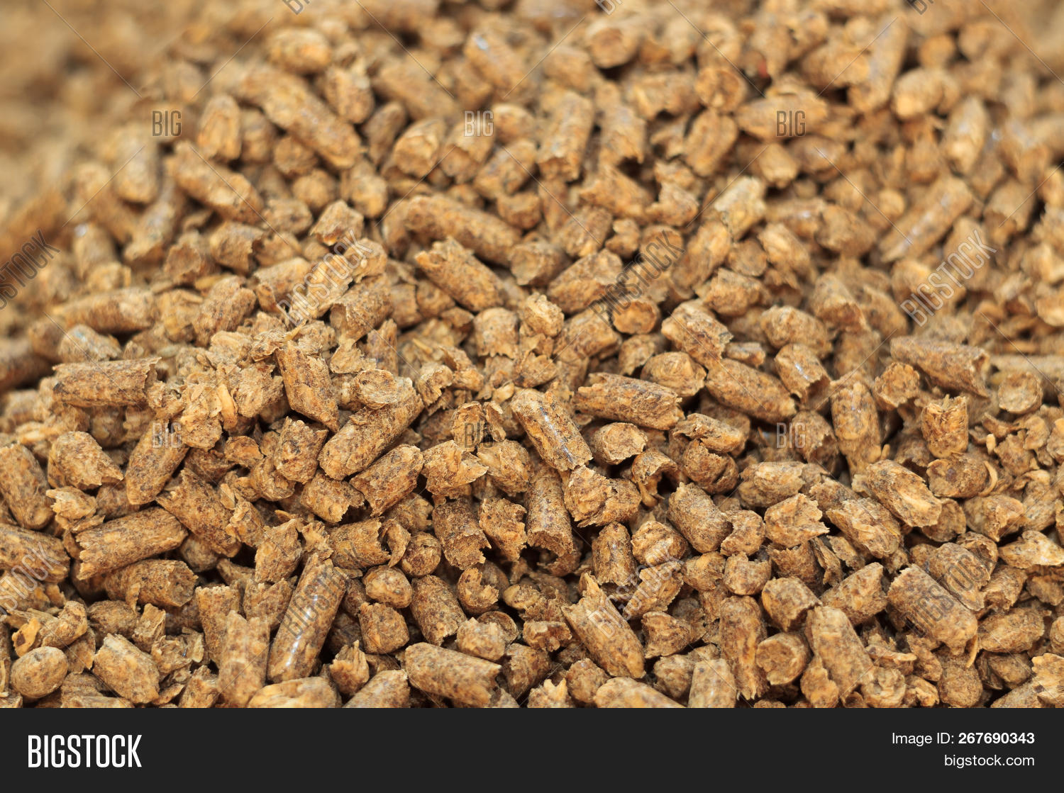 Fuel Wood Pellet Close Image & Photo (Free Trial) | Bigstock