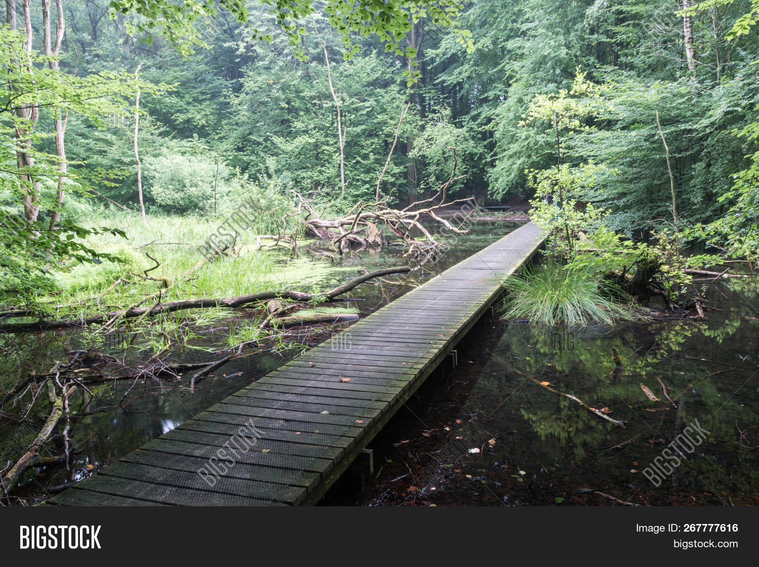 Bridge Over Small Lake Image & Photo (Free Trial) | Bigstock