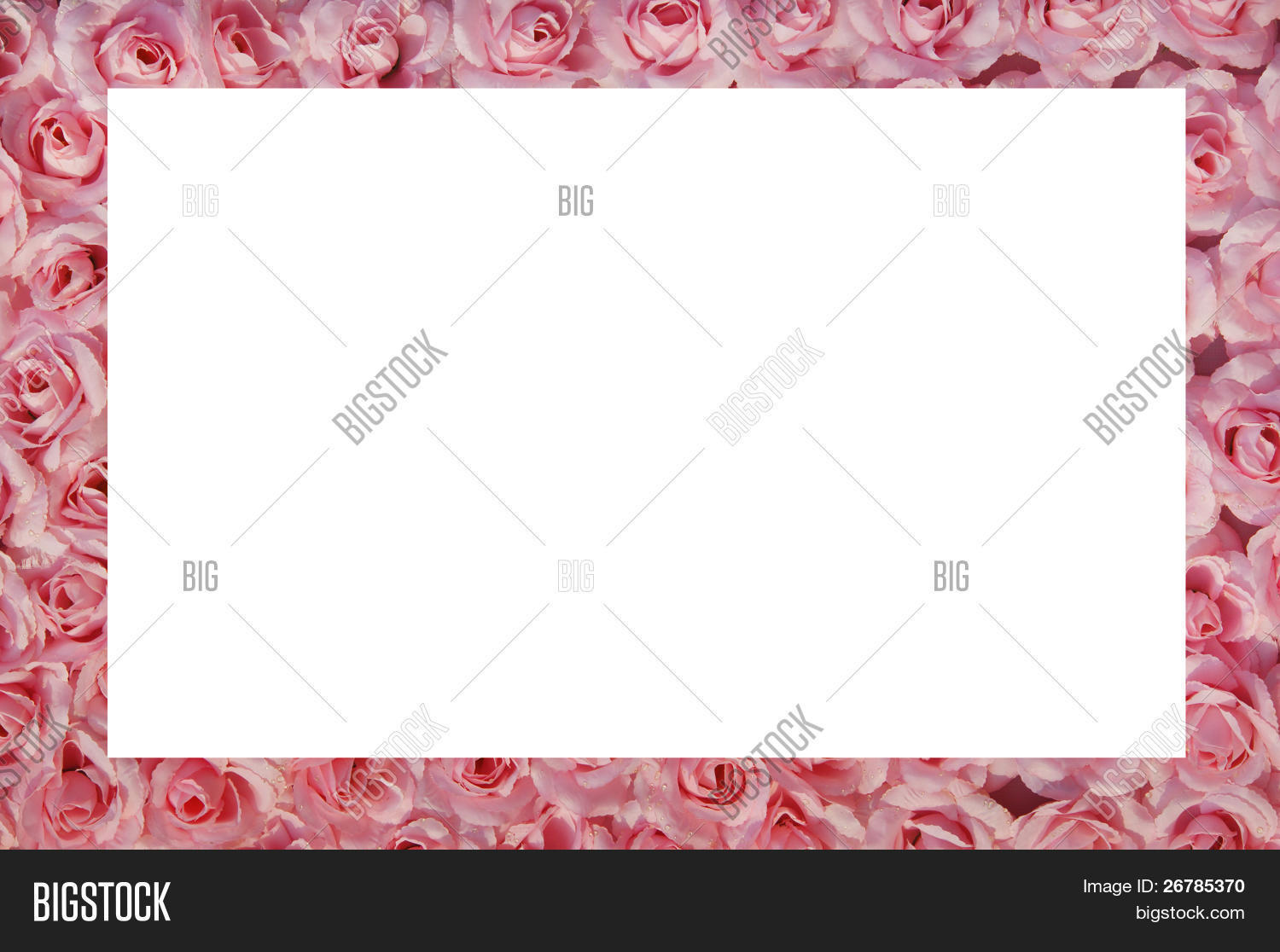 Pink Rose Frame On Image & Photo (Free Trial) | Bigstock