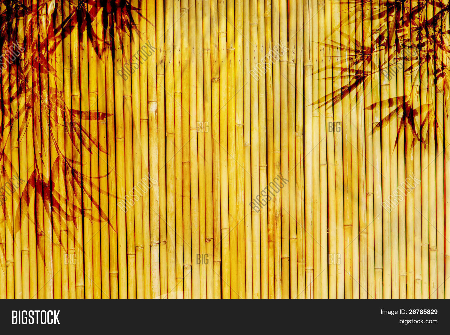 Light Golden Bamboo Image & Photo (Free Trial) | Bigstock