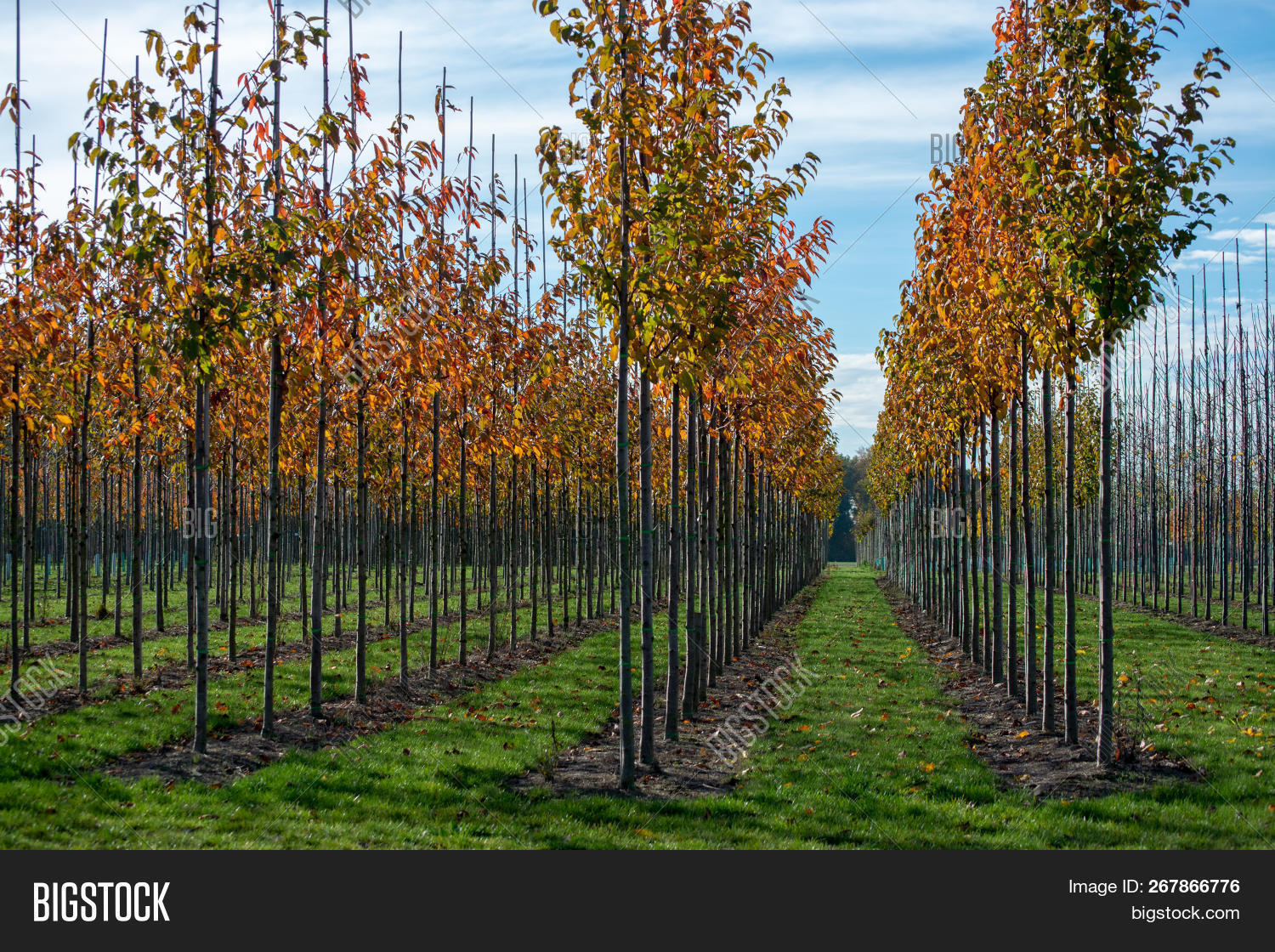 Public Privat Garden, Image & Photo (Free Trial) | Bigstock