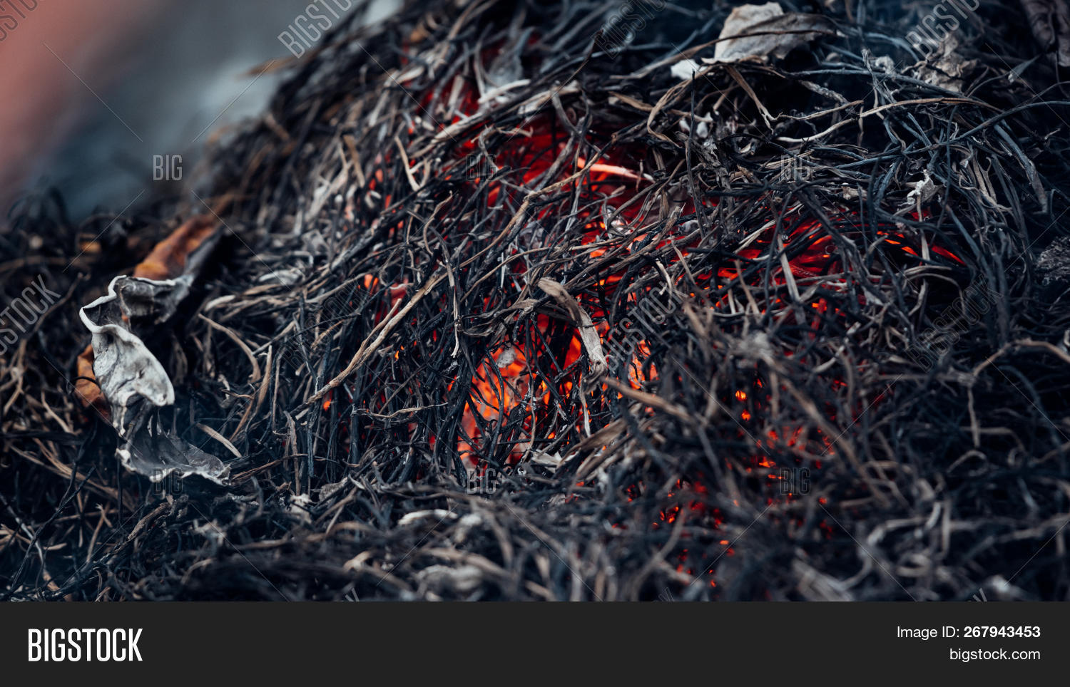 Fire Burning Dry Grass Image & Photo (Free Trial) | Bigstock