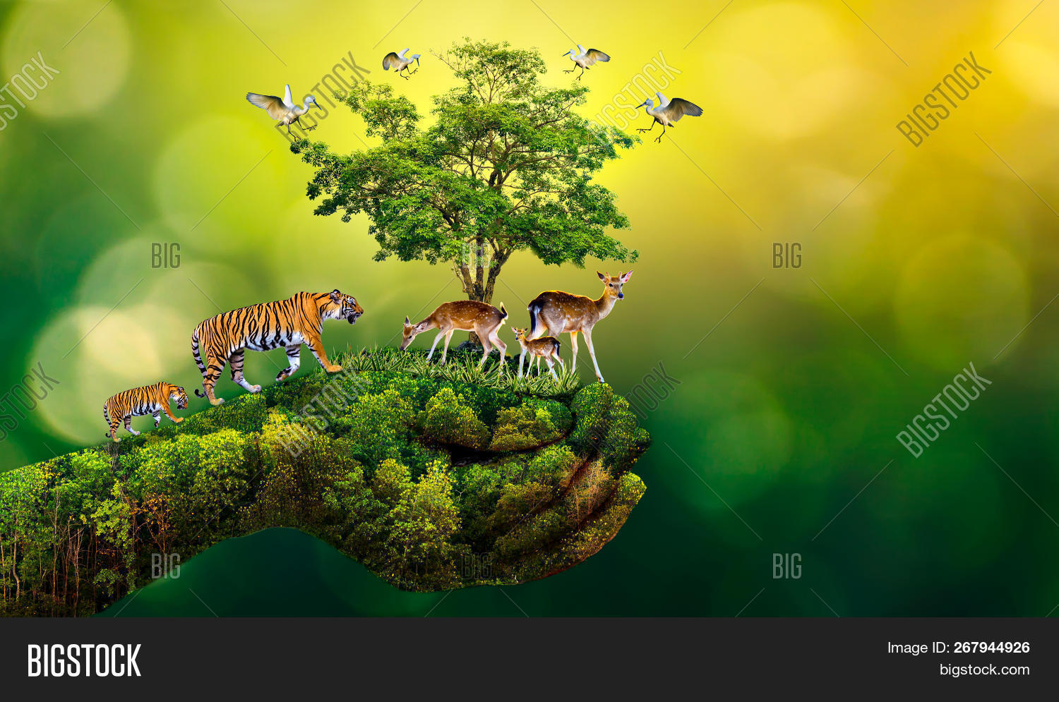Concept Nature Reserve Image & Photo (Free Trial) | Bigstock