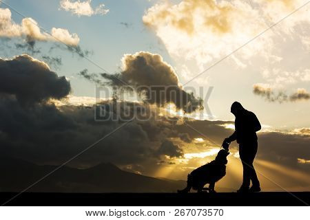 Young Man Dog Sunset Image & Photo (Free Trial) | Bigstock