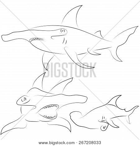 Black Line Hammerhead Vector & Photo (Free Trial) | Bigstock