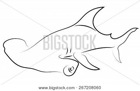 Black Line Hammerhead Vector & Photo (Free Trial) | Bigstock