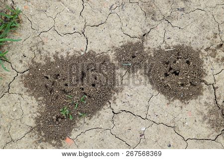 Mounds Earth Over Image & Photo (Free Trial) | Bigstock