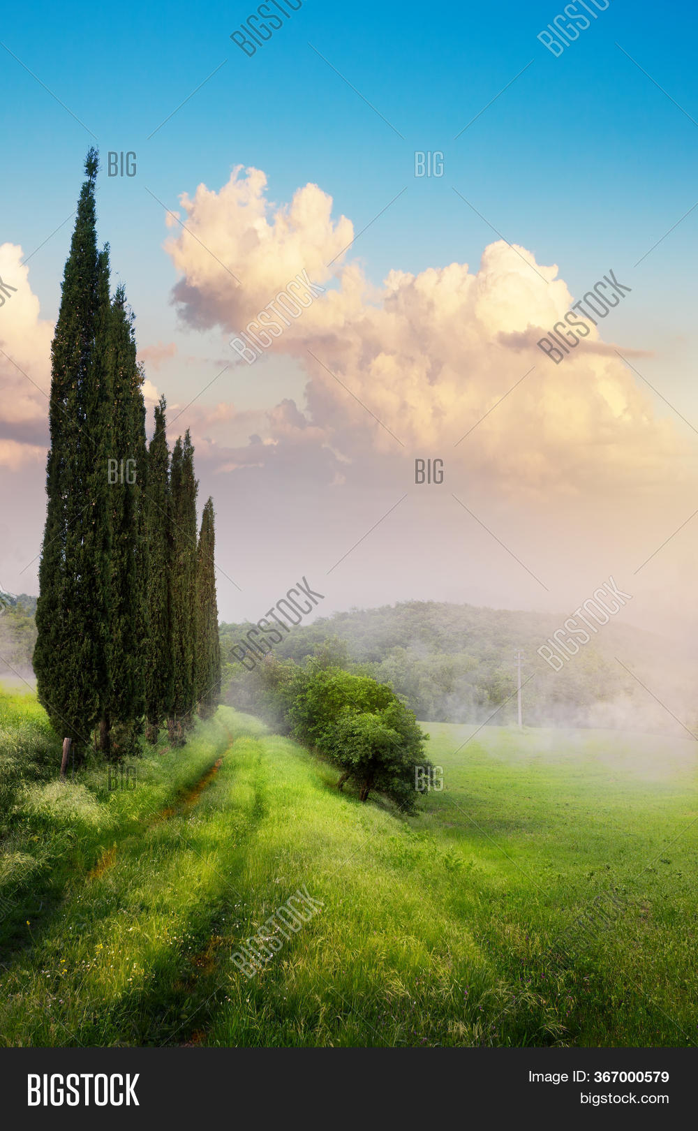 Summer Countryside Image & Photo (Free Trial) | Bigstock