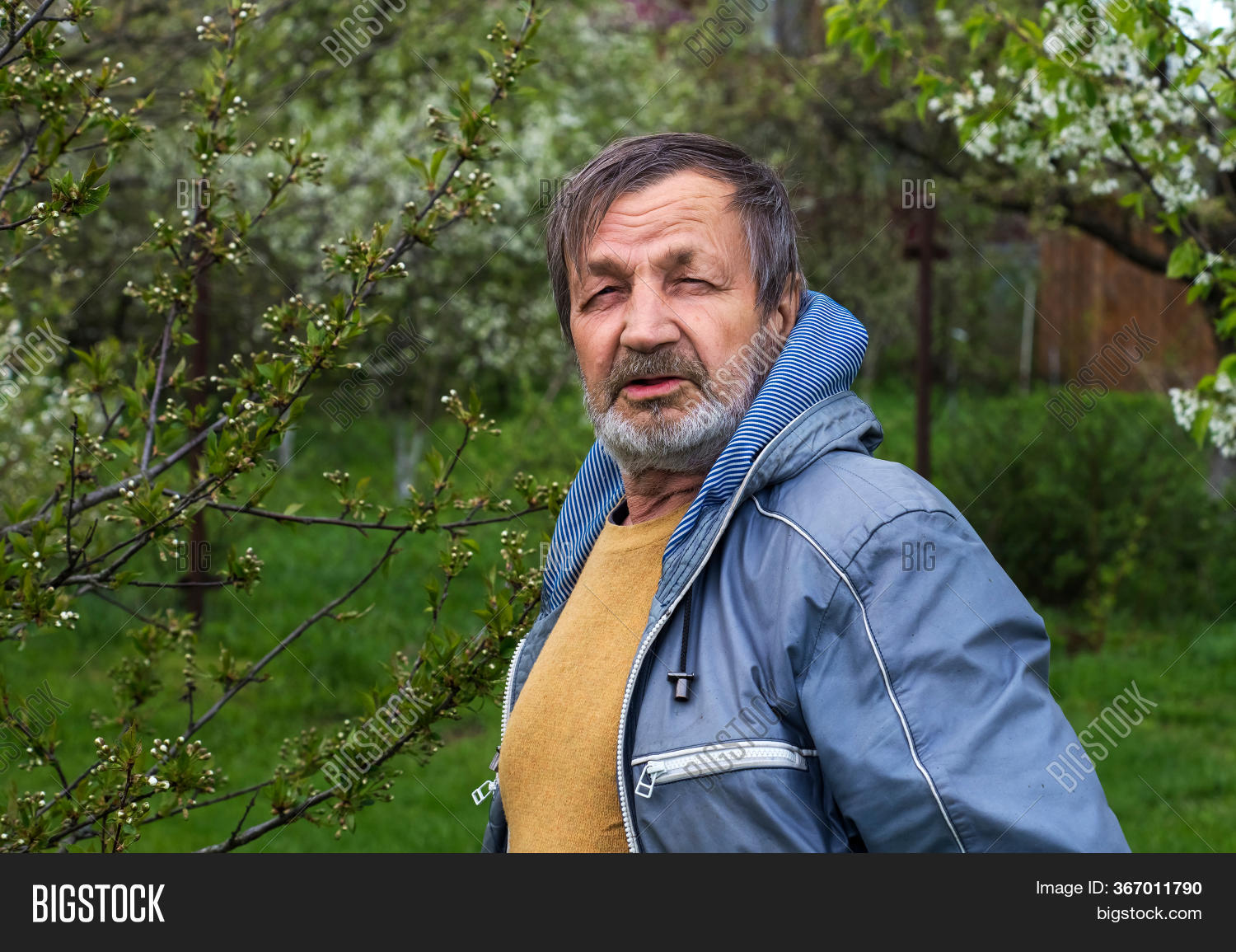 Elderly Village Male Image & Photo (Free Trial) | Bigstock