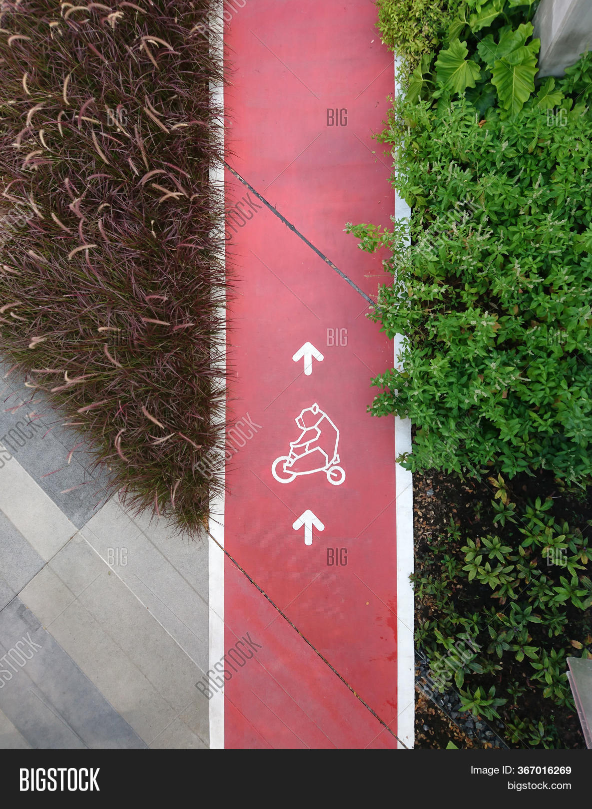 Bicycle Lane Red Color Image & Photo (Free Trial) | Bigstock