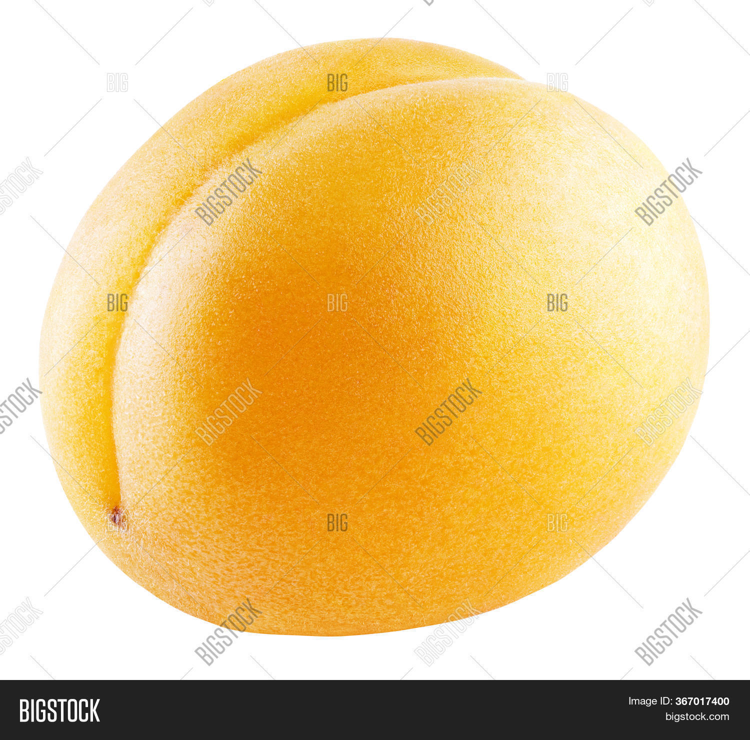 Single Apricot Yellow Image & Photo (Free Trial) | Bigstock