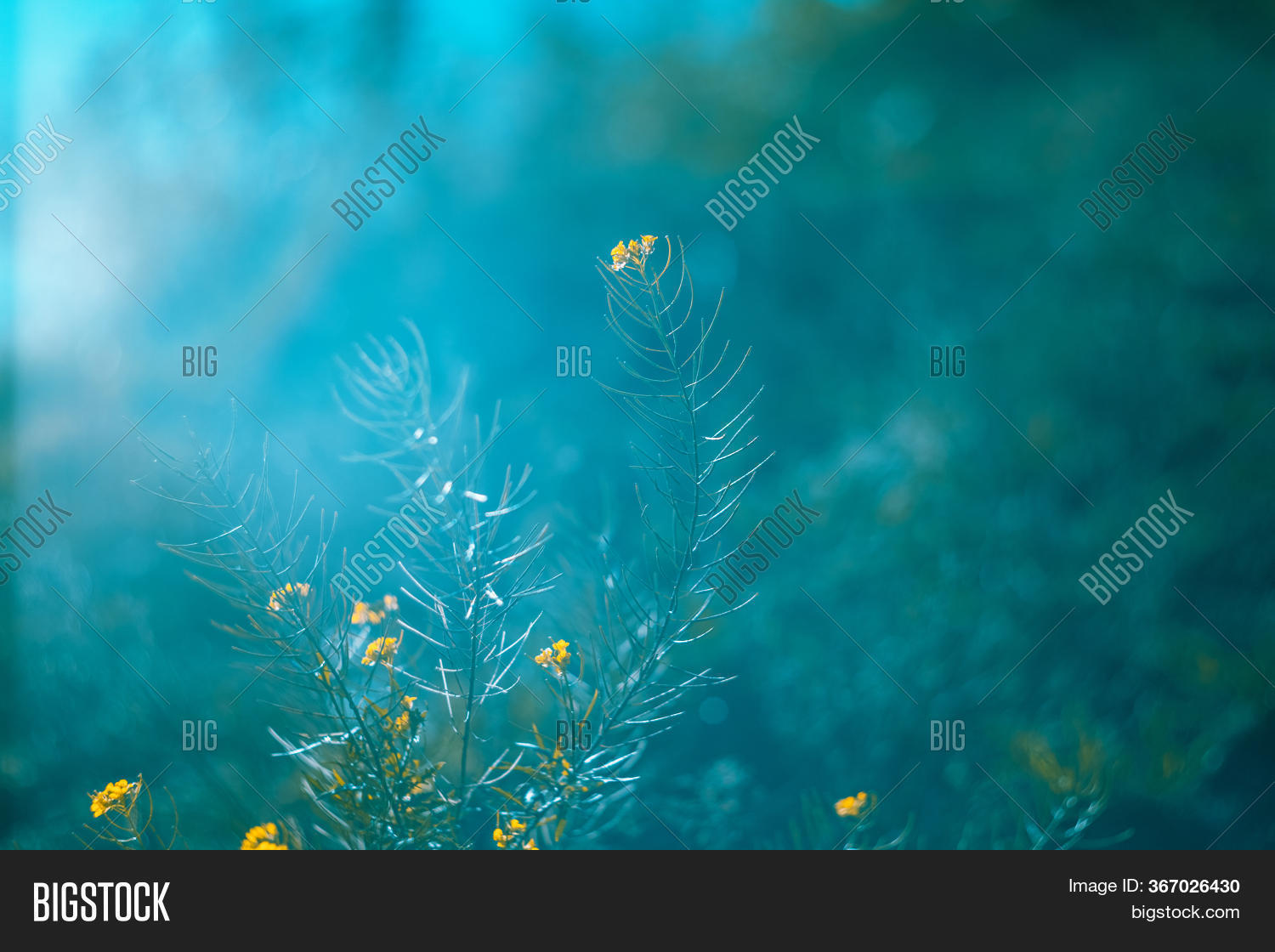 Soft Turquoise Image & Photo (Free Trial) | Bigstock