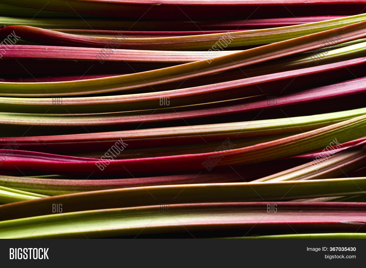 Background Rhubarb Image & Photo (Free Trial) | Bigstock