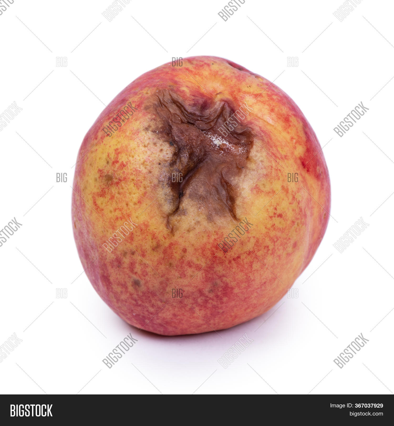 One Rotten Nectarine Image & Photo (Free Trial) | Bigstock