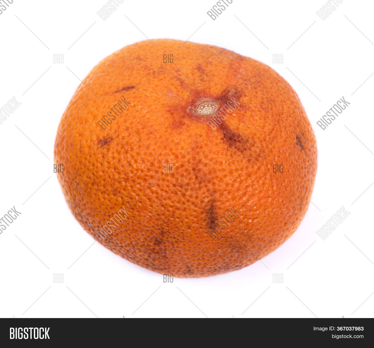 Almost Rotten Orange Image & Photo (Free Trial) | Bigstock