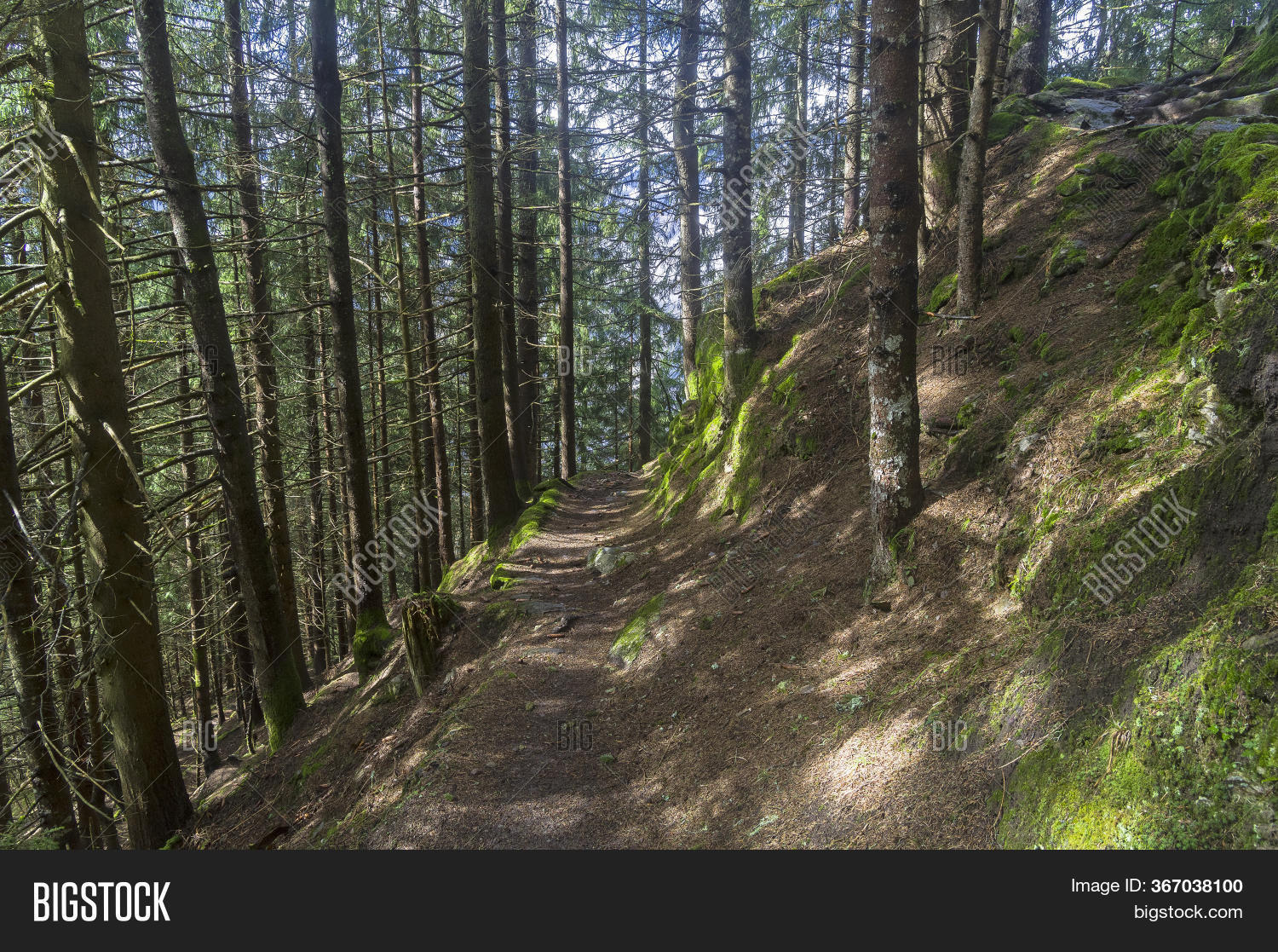 Hillside Trail Image & Photo (Free Trial) | Bigstock